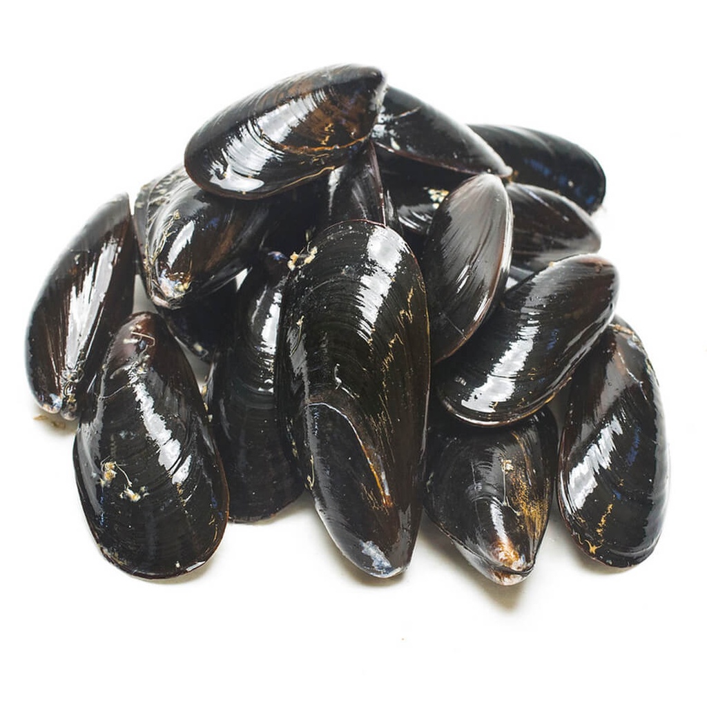 Lyme Bay Mussels 1kg | m3foryou.com